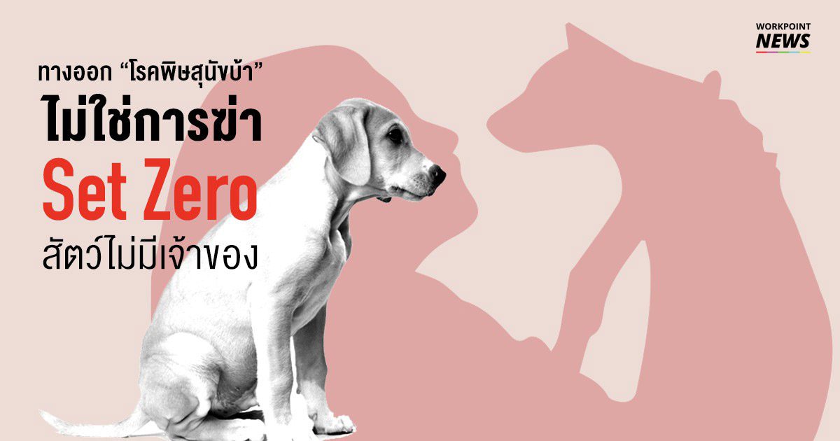 Set Zero สัตว์ไม่มีเจ้าของ: “การฆ่าล้างบาง” ไม่ช่วยให้ “โรคพิษสุนัขบ้า ...