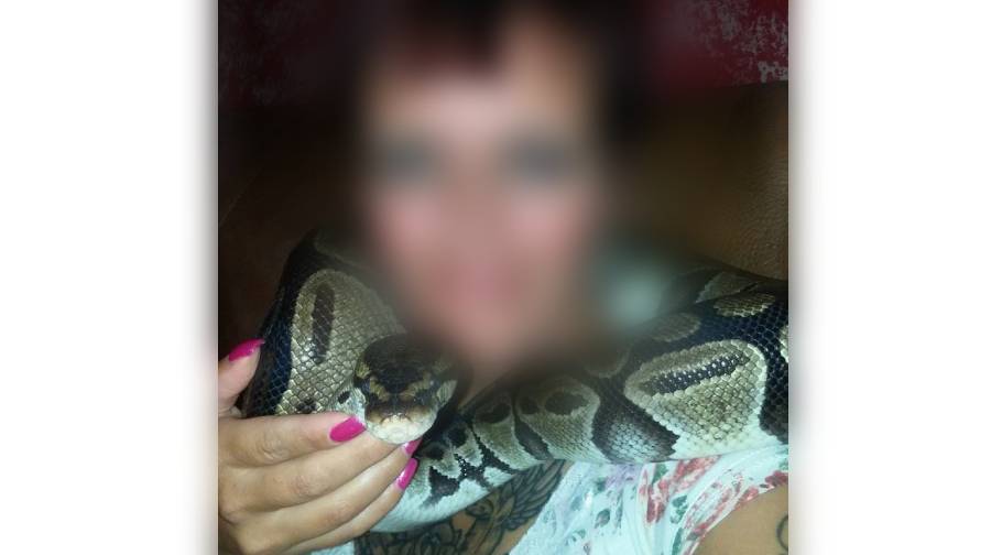 หญิงอเมริกัน “คนรักงู” ถูกงูรัดคอดับคาบ้าน ผงะ! พบงูเลี้ยงอีก 140 ตัว