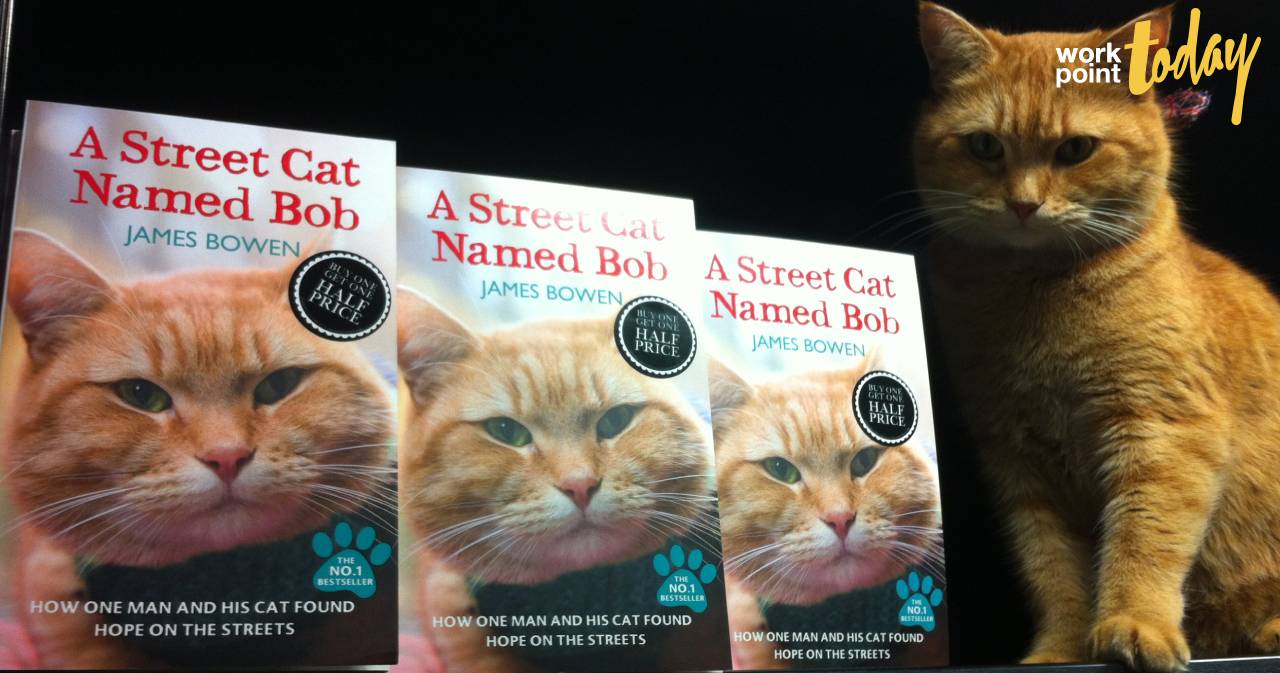 สุดเศร้า “บ๊อบ” แมวดังจากหนัง A Street Cat Named Bob จากไปแล้ว