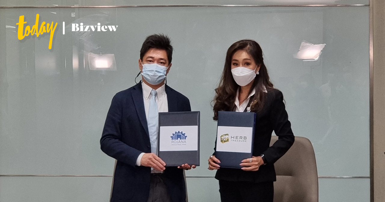 ROJNA จับมือ ‘เฮิร์บ เทรเชอร์’ ลุยธุรกิจกัญชงครบวงจร ลงทุนเฟสแรก 250 ลบ.ตั้งเป้ารายได้ปีละ 1,000 ...