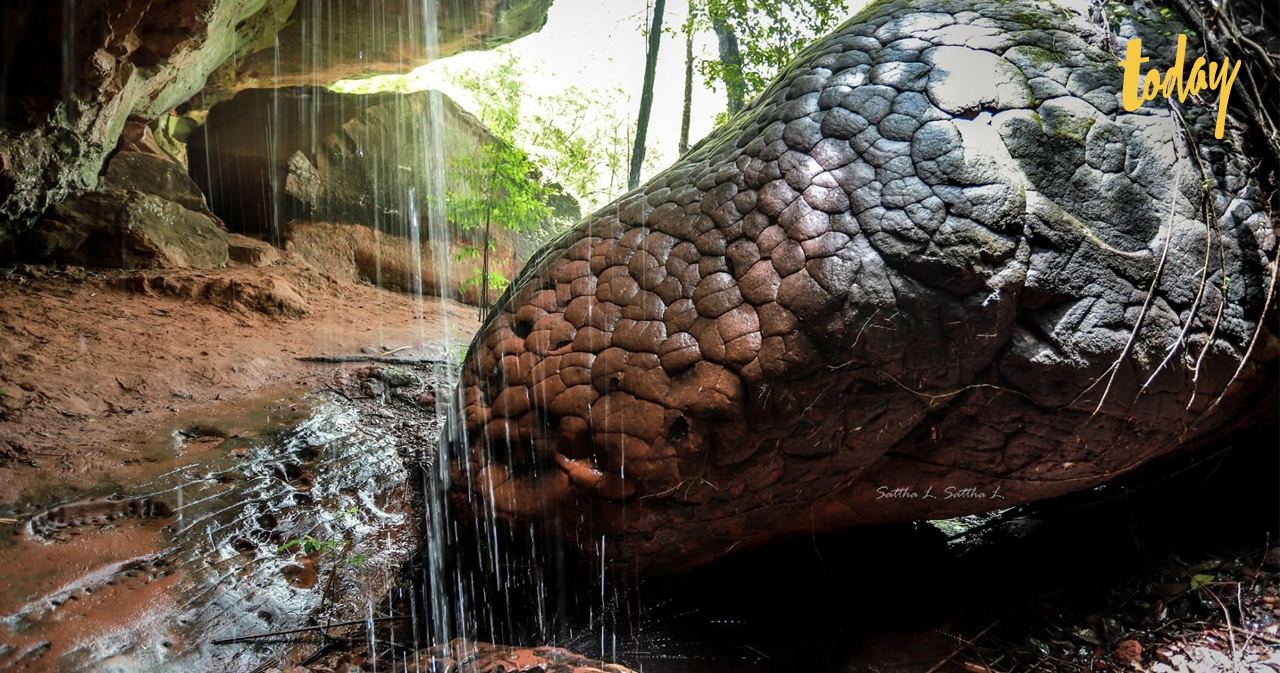 เปิดขั้นตอน เที่ยว ‘ถ้ำนาคา’ ต้องจองคิวเข้าชมผ่านแอปฯ QueQ เท่านั้น