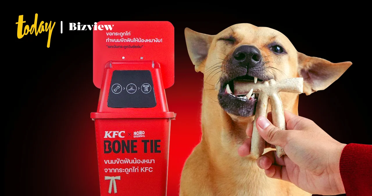 KFC แปรรูปกระดูกไก่ เป็นขนมขัดฟันน้องหมา แจกฟรี รับวันมะหมาโลก