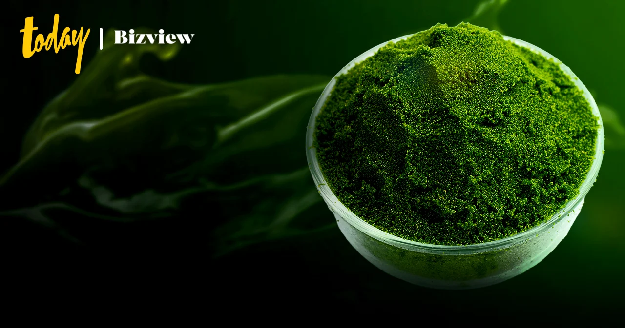 มูลค่าเศรษฐกิจ ‘ไข่ผำ’ Superfood ดาวรุ่ง