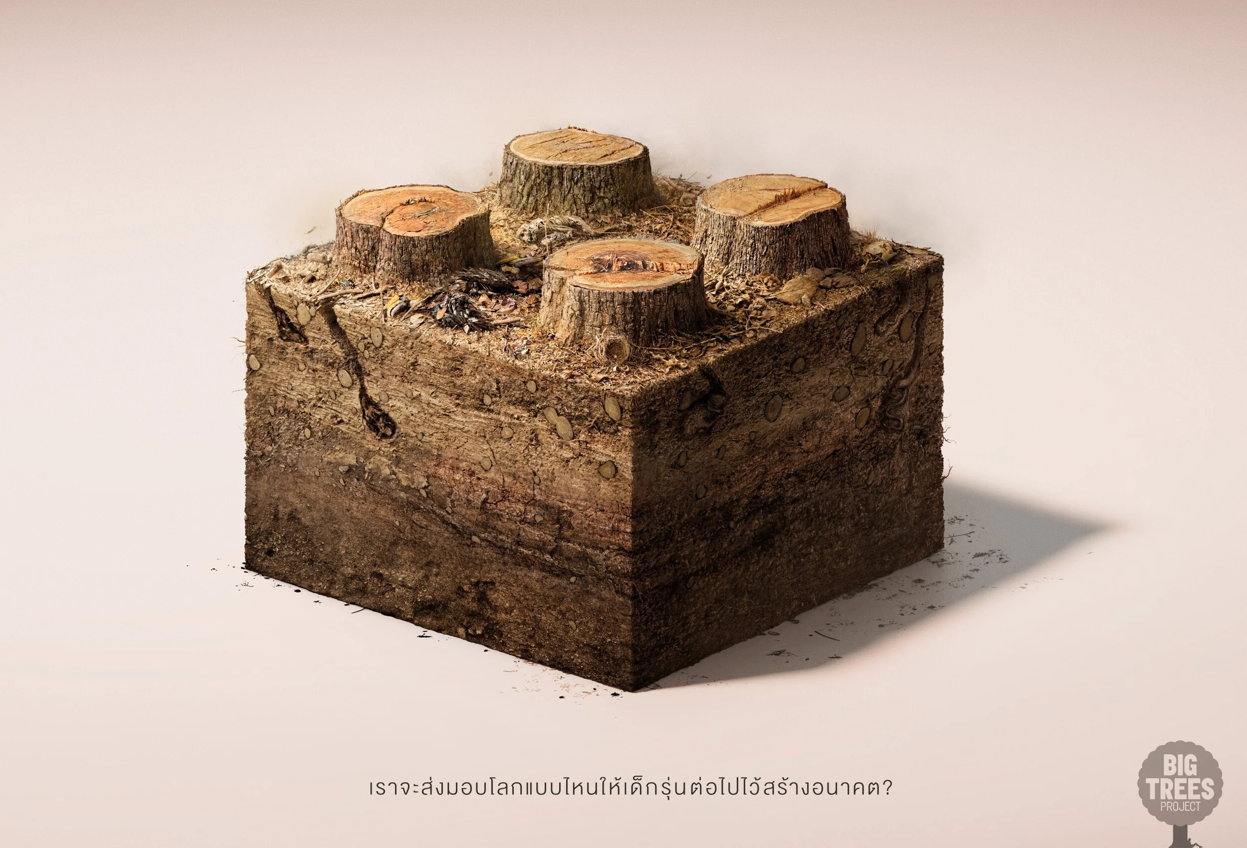 “เด็กคือผู้สร้างอนาคต” Big Trees Project ชวนคนไทยตระหนักและร่วมกัน ...