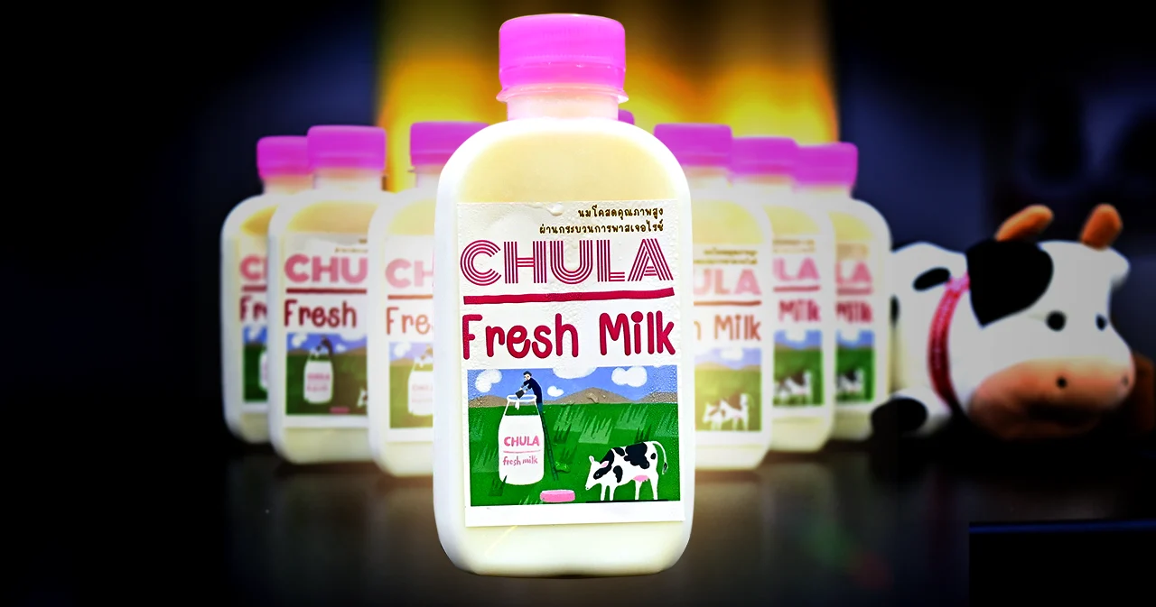 นมไทยปลอดภัยแน่! จุฬฯ โชว์ผลงานวิจัย Chula Fresh Milk